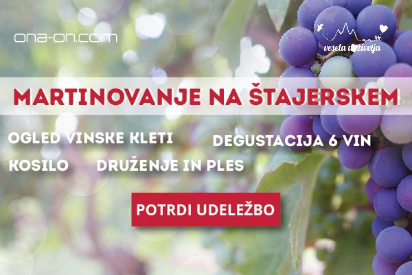 Martinovanje2-09-min | ONA-ON Magazin